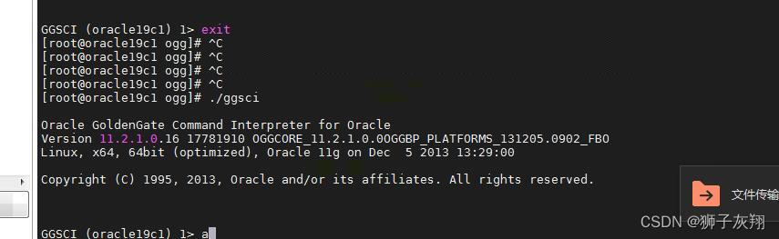19c安装ogg时报缺少 libnnz11.so-CSDN博客