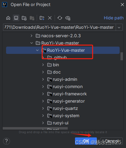 若依开源框架-Ruoyi-vue 前端分离版使用说明-超详细_前端怎么在若依框架上开发-CSDN博客