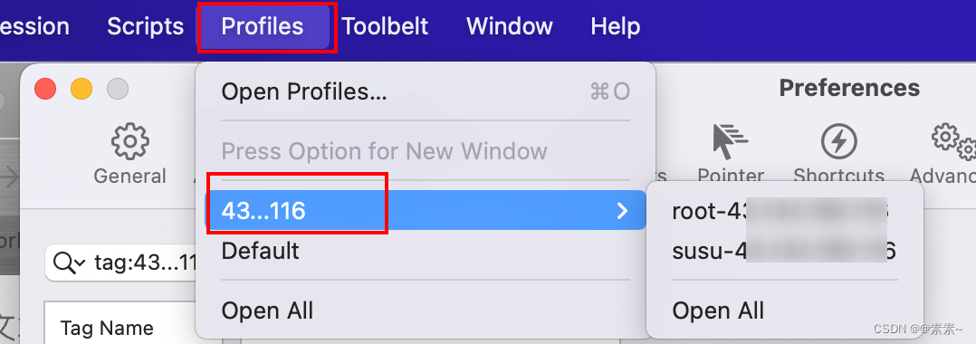 mac连接远程服务器传输文件 以及 iterm2 配置SSH快速连接_mac连接服务器-CSDN博客