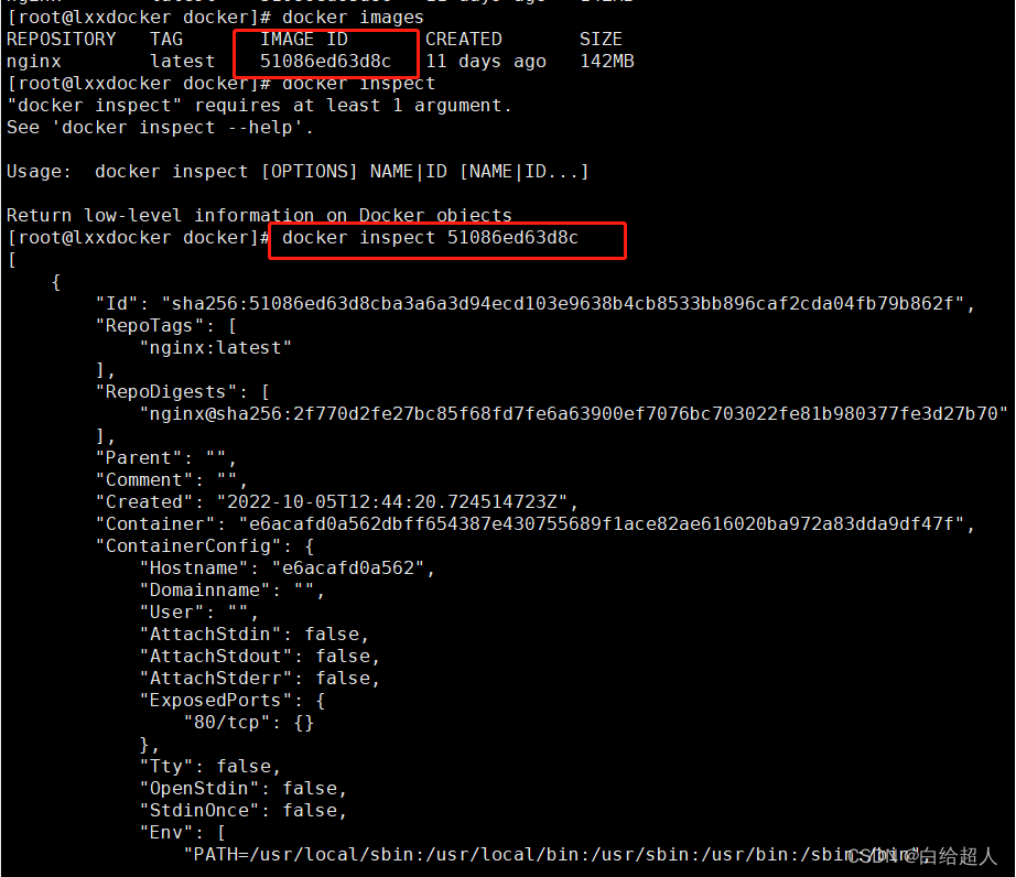 【docker】docker的基础命令_ydqit-CSDN博客