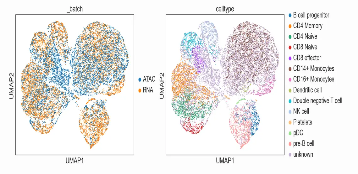 10X单细胞转录组整合、转录组 && ATAC整合分析之VIPCCA_10xatac read长度要求-CSDN博客