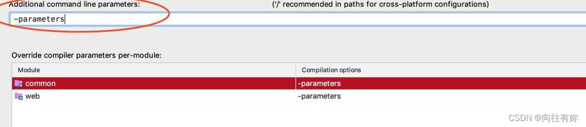 如何省略springboot项目中的@Param注解_springboot param-CSDN博客