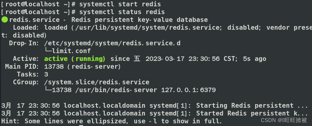 Linux安装部署Redis-CSDN博客