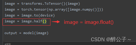 RuntimeError: “unfolded2d_copy“ not implemented for ‘Half‘（实测百分百有效）_not implemented for 'half-CSDN博客