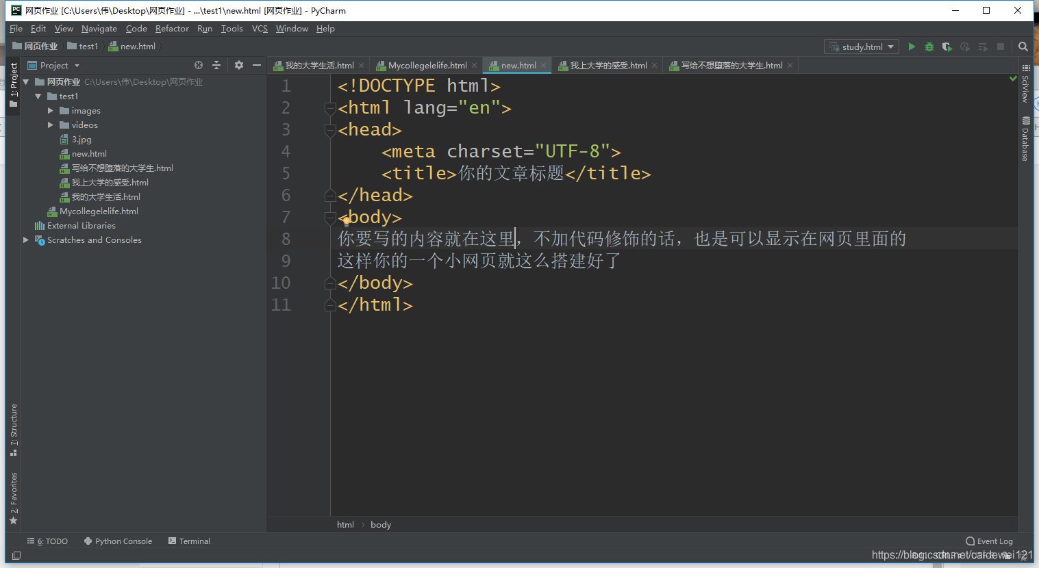 Html5实用小技巧分享(一)——我的第一个网页 我的第一个网页html5 Csdn博客