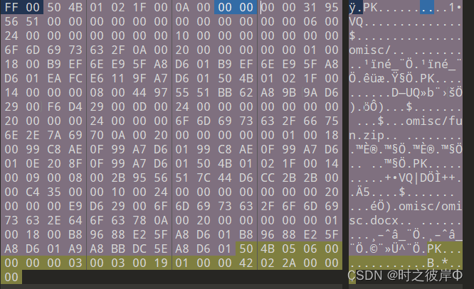 MISC：zip压缩包伪加密破解及其结构解析_misc压缩包解密-CSDN博客