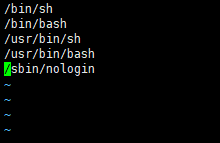 Linux中Shell——sbin/nologin的理解_sbinnologin-CSDN博客