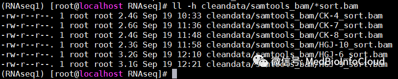 sql索引的建立与使用_转录组分析 | 使用SAMtools将SAM文件转换为BAM文件、排序、建立索引...-CSDN博客