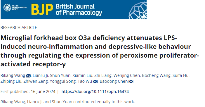 项目文章 | 一套转录因子ChIP-seq数据，2篇一区SCI？快来瞅瞅_foxo3与铁死亡-CSDN博客