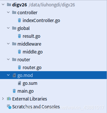 go语言web开发系列之二十六:gin框架:演示有多个middleware时代码的执行顺序_golang middleware 执行顺序-CSDN博客