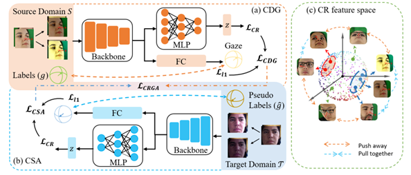Contrastive Regression for Domain Adaptation on Gaze Estimation CVPR ...