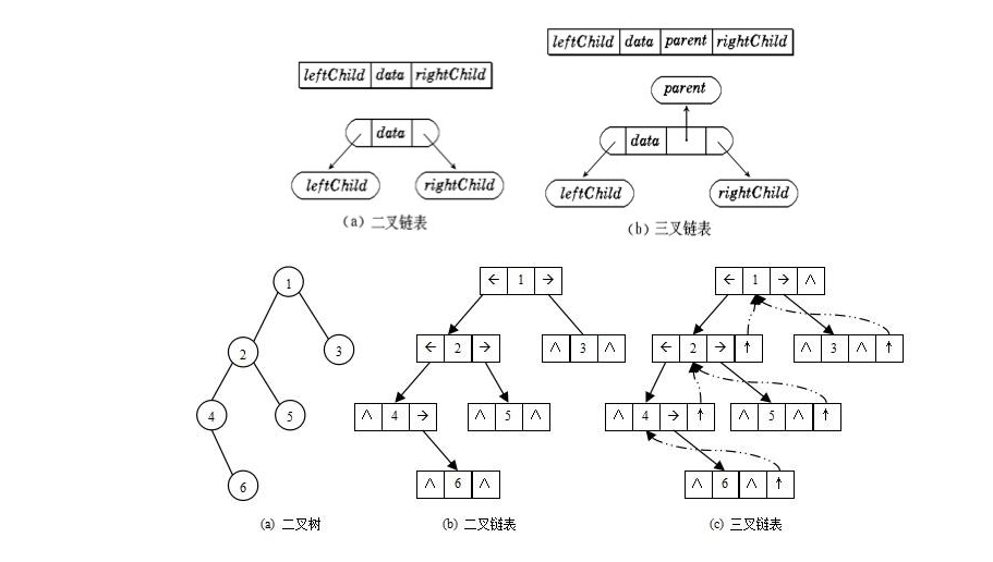 【数据结构入门】二叉树binarytree 详解binary Tree Csdn博客