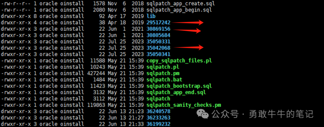 Oracle-补丁数据字典更新失败案例_datapatch-CSDN博客