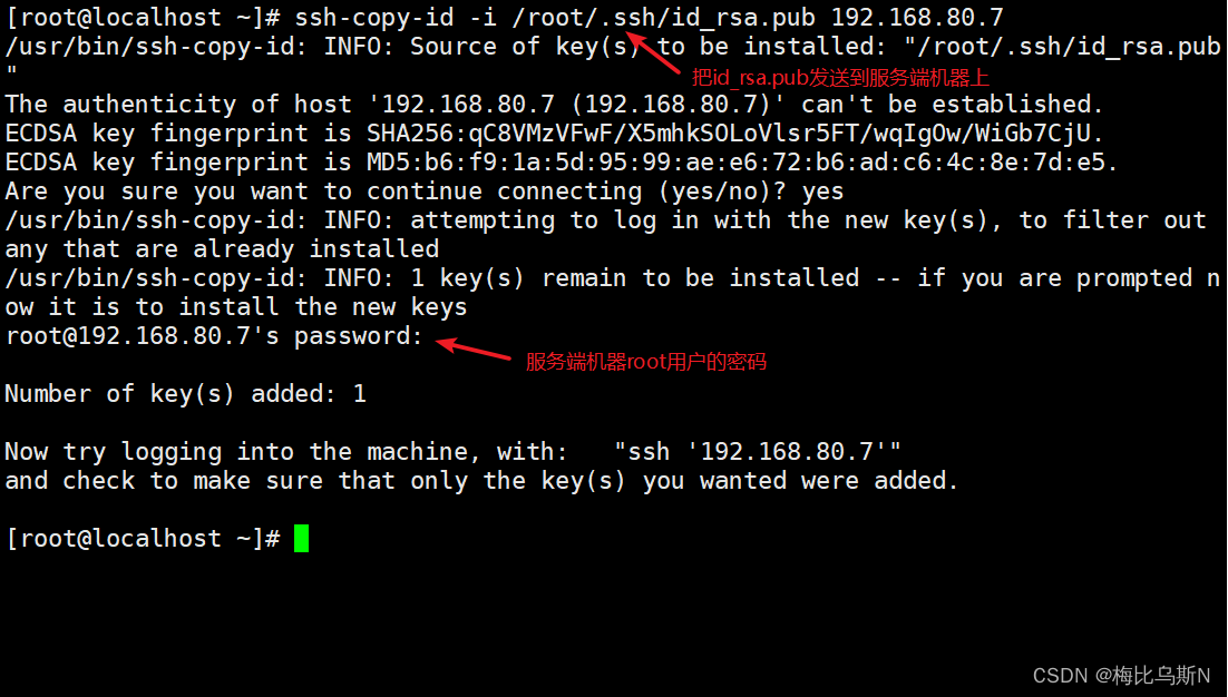 SSH详解：原理、工作流程与安全配置-CSDN博客