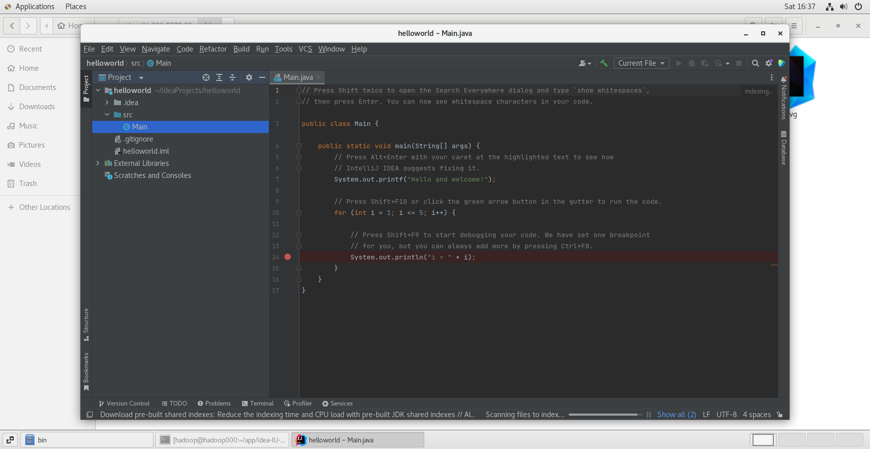 【2023最新】Linux系统安装配置JDK、IDEA及Maven教程_idea linux版本-CSDN博客