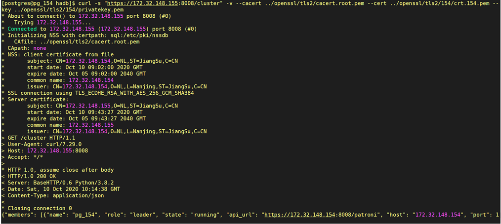 etcd\Patroni\PostgreSQL使用SSL、TLS、HTTPS_patroni etcd-CSDN博客