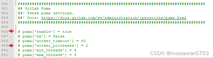 Gitlab常用命令及限制Gitlab内存_gitlab puma-CSDN博客