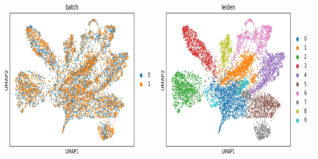 10X空间转录组分析之stlearn联合harmony整合多个空间样本_10x空间转录组stlearn聚类-CSDN博客