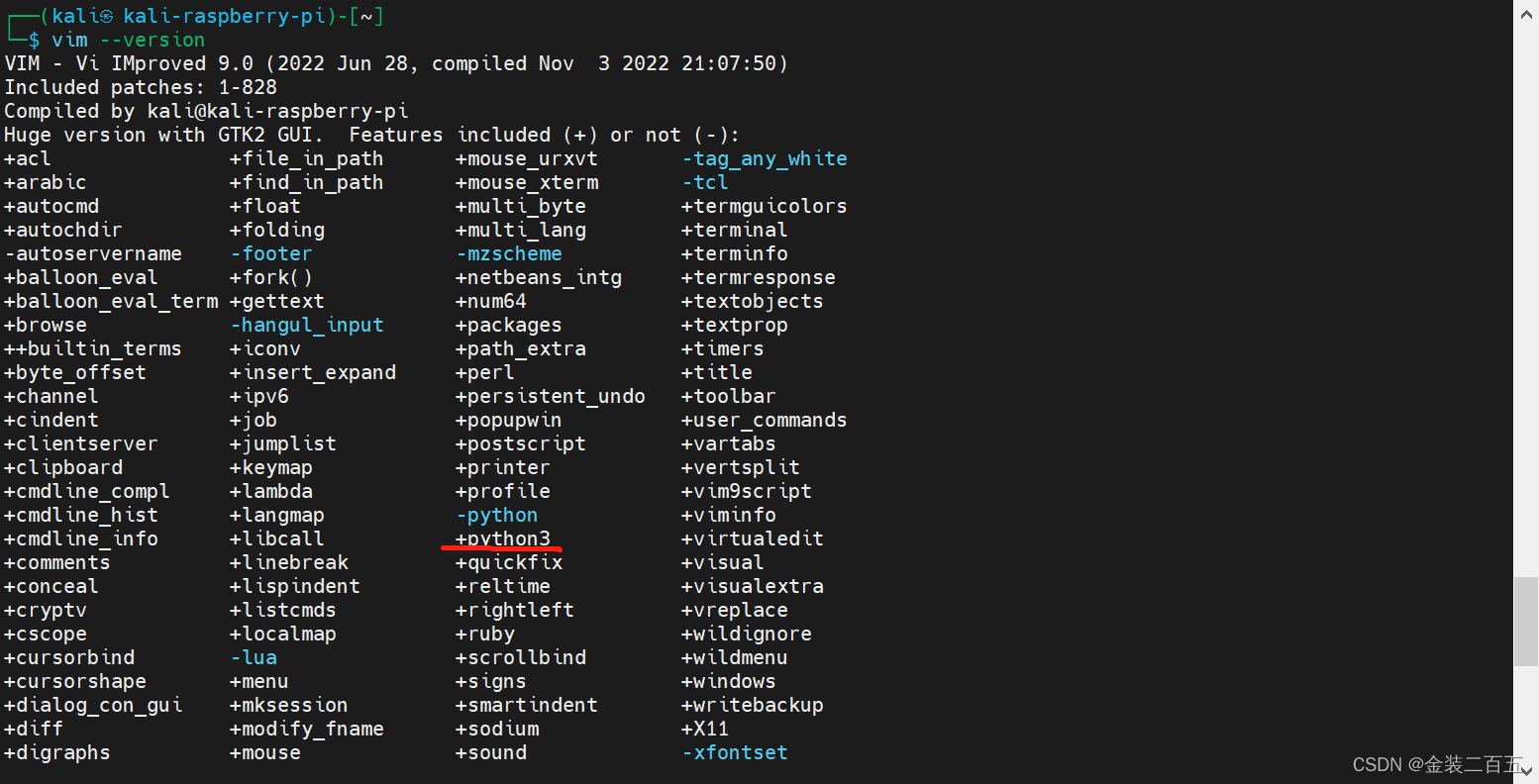 在树莓派上安装编译的vim——开启python3支持_树莓派64安装vim-CSDN博客
