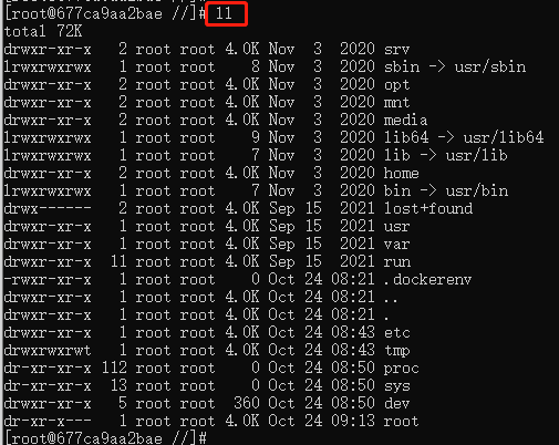 Linux系统或Docker容器中无法使用ll命令解决方案_ll命令用不了-CSDN博客