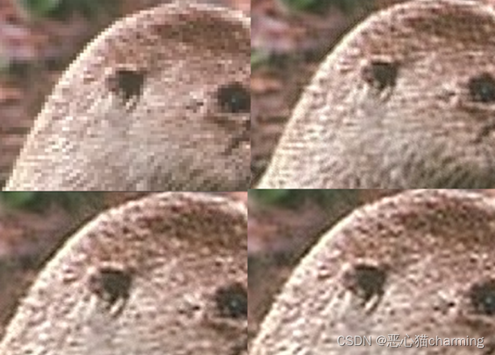 图像超分辨实现（ESPCN）-CSDN博客