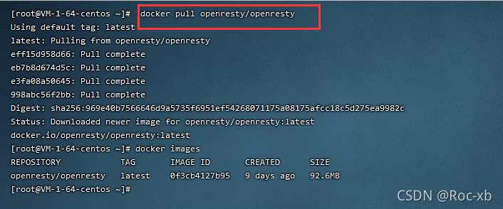 Docker安装OpenResty教程_docker pull openresty-CSDN博客