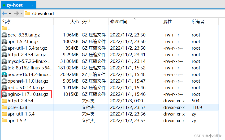Linux下nginx 11710的安装nginx 11710targz Csdn博客 