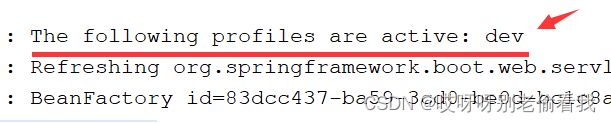 Idea 工具下启动 Springboot 实例指定加载的配置文件idea指定配置文件启动 Csdn博客