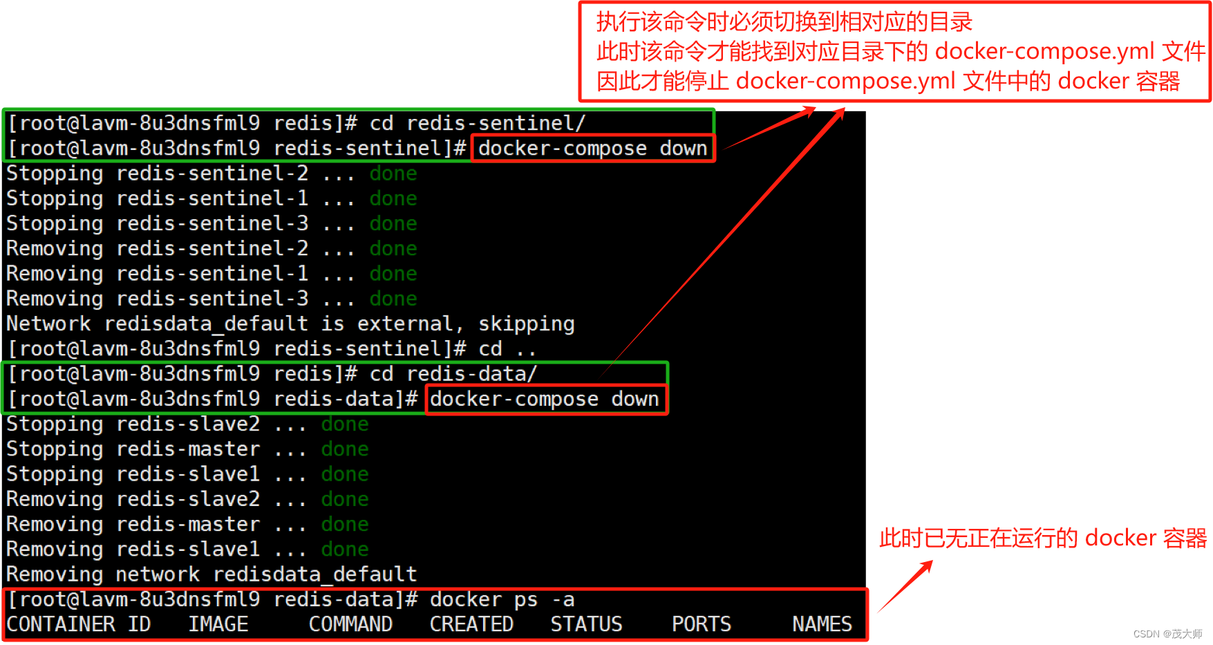2023.1.27 Redis 基于 Doker 模拟搭建集群环境_docker redis 3服务器集群-CSDN博客