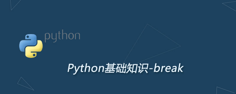 Python break用法详解_break在python中的用法-CSDN博客