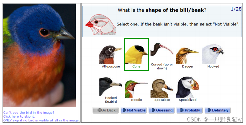 The Caltech-UCSD Birds-200-2011 Dataset-CSDN博客