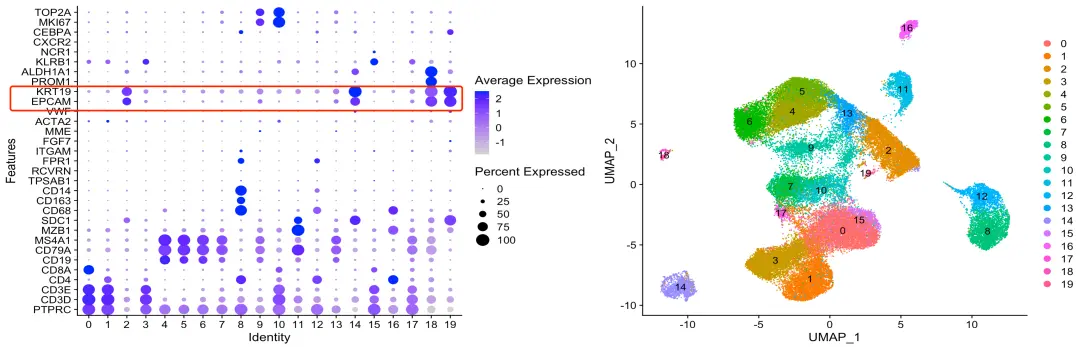 10X单细胞（10X空间转录组）整合分析批次处理之细节（harmony）_单细胞harmony-CSDN博客