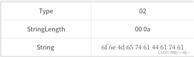 FLV格式讲解_flv格式详解-CSDN博客