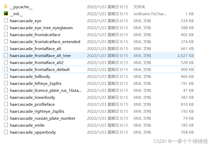 Python人脸识别项目-人脸检测_.detectmultiscale(gray)-CSDN博客