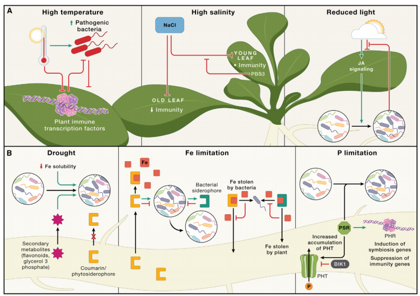 Cell |从实验室到田间，还有多远？_deep discovery informs difficult deployment in pla-CSDN博客