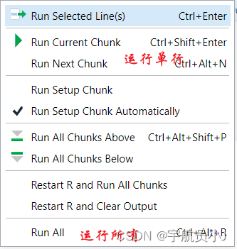 RStudio中R notebook的使用-CSDN博客