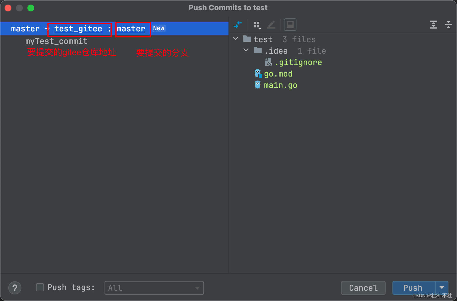 Mac goland上传项目到gitee_goland gitee-CSDN博客