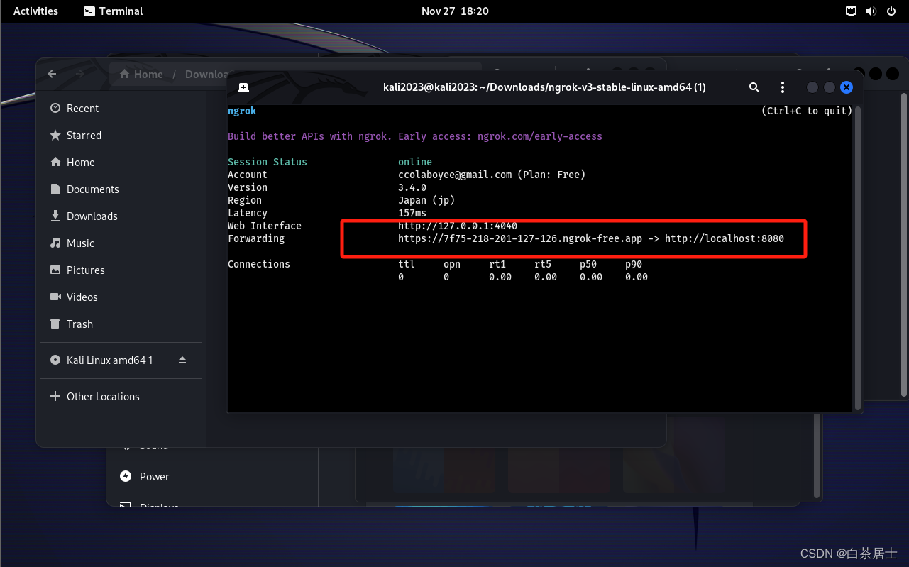 kali下使用seek追踪定位IP地址（渗透笔记）_kali生成定位网页-CSDN博客