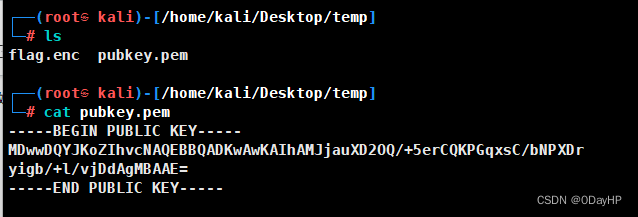 XCTF：Normal_RSA[WriteUP]_rsa flag.enc-CSDN博客