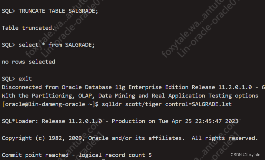 oracle生成csv数据的脚本_shell脚本oracle每天生成csv文件-CSDN博客