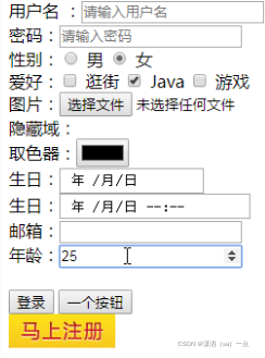 HTML基本标签input+select_html input select-CSDN博客