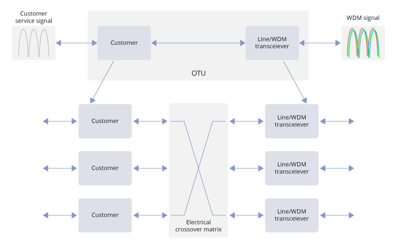 WDM与OTN——光传输大容量技术_wdn传输技术-CSDN博客