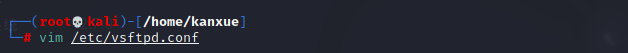 Kali Linux（Debian）安装FTP服务器vsftpd教程_debian vsftpd-CSDN博客