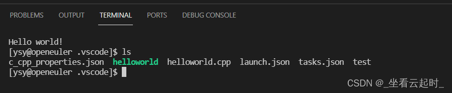 VScode、VS2022远程连接linux(OpenEuler)_vs2022远程调试linux-CSDN博客