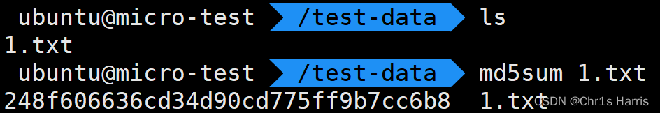 Linux调整分区大小而不丢失数据_resize2fs调整分区大小-CSDN博客