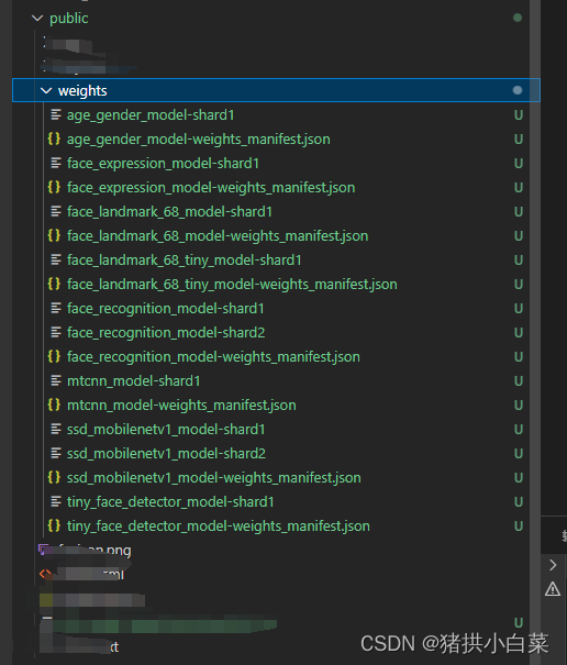 vue 使用js识别图片是否是完整人脸_vue 前端实现人脸识别-CSDN博客
