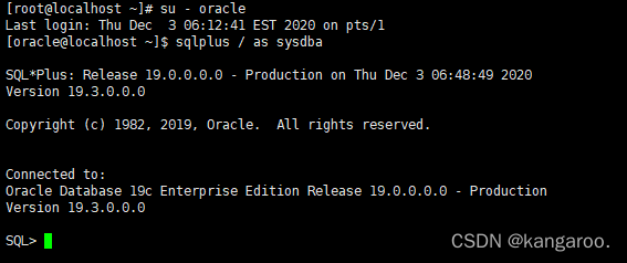 CentOS 7 rpm方式离线安装 Oracle 19c_oracle离线安装包-CSDN博客