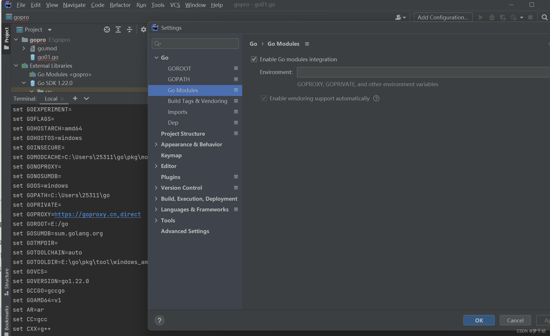 GO语言和GoLand环境配置_goland配置-CSDN博客
