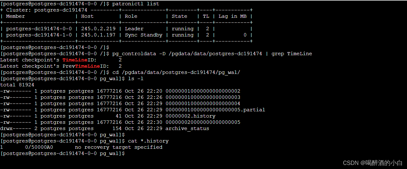 Postgres TimeLine_postgres fatal: highest timeline-CSDN博客