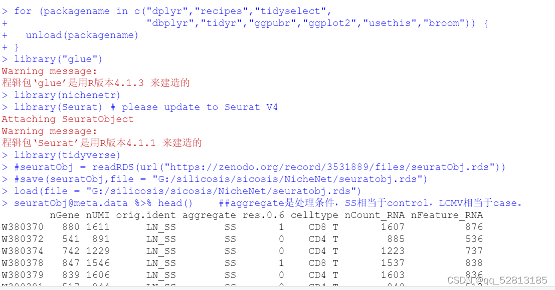 加载R包unloadNamespace时，我该怎么办_can not be unloaded namespace-CSDN博客